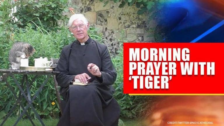 Cat caught 'paw-dipping' Minister's milk during online prayer, video ...