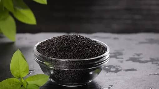 Health Benefits of Adding Sabja Seeds To Cinnamon Water | Republic World