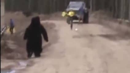 Funny Bear Prank Terrifies Building Site, Video Of Workers Rolling On ...