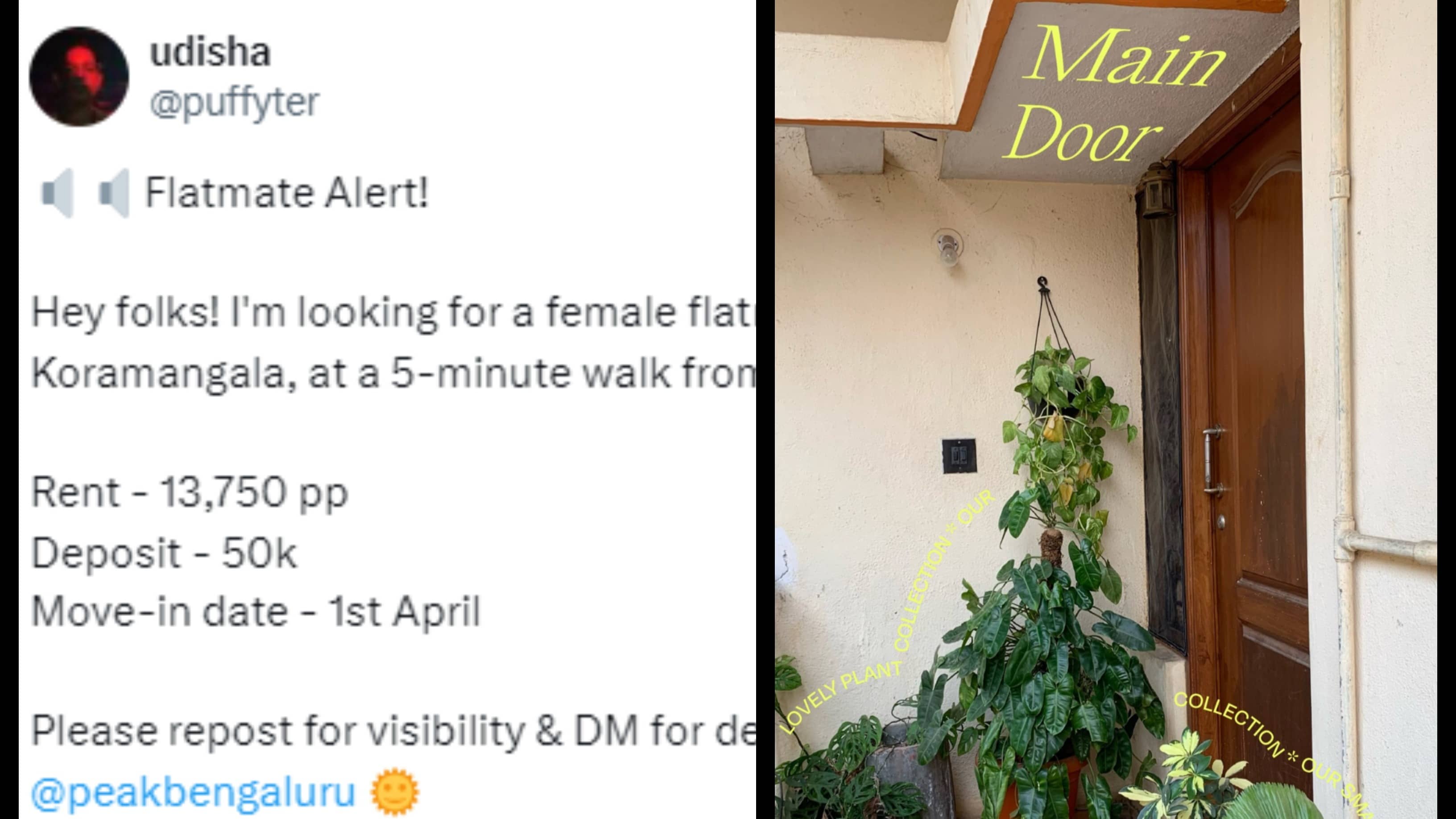 Bengaluru Women's Creative Post To Find A Female Flatmate Goes Viral ...