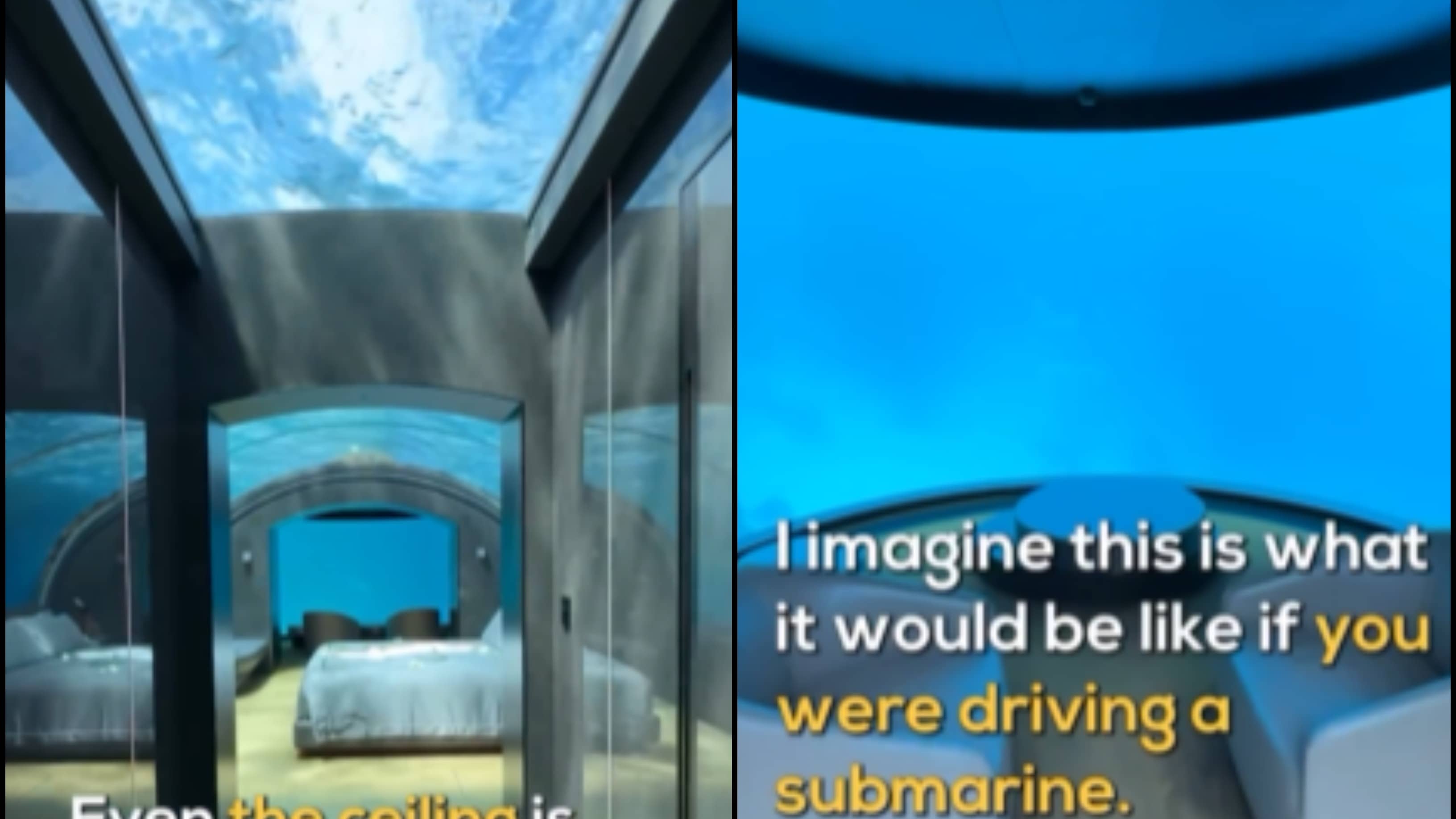 Viral Video: Travel Couple’s Video Of Most Expensive Underwater Room ...