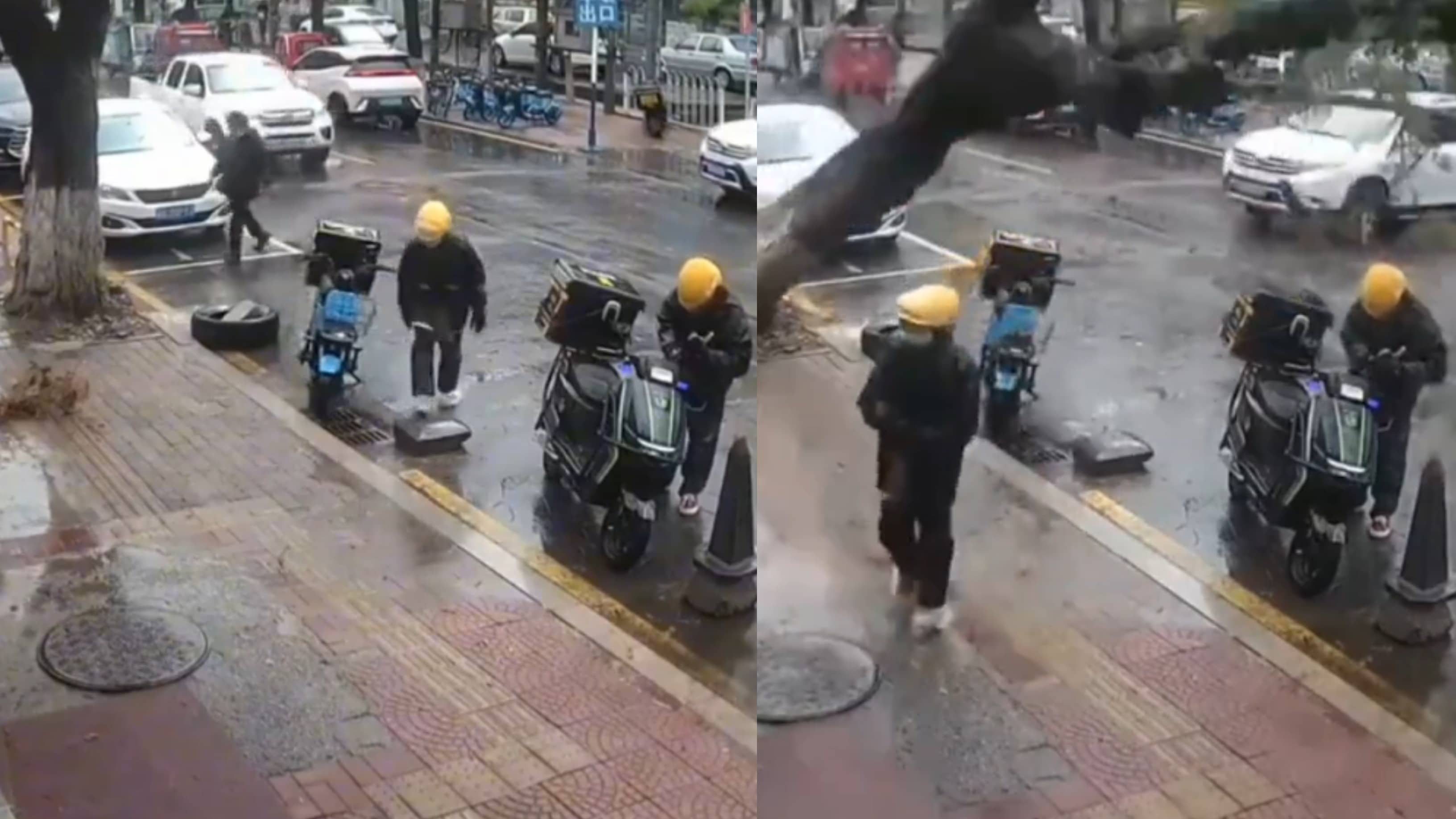 Bikers Survive Miraculously as Tree Falls Over Them, Video Goes Viral ...