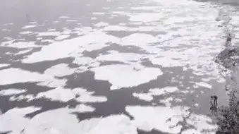 Besides Yamuna, these lakes too spew froth | Republic World