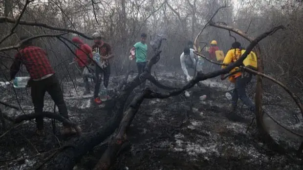 Behind the Lines of Red-Hot Wildfires, Volunteers Save Animals with a ...