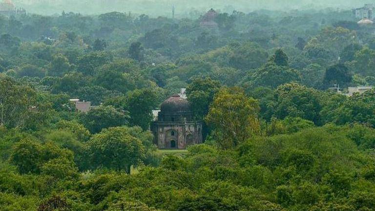 Punjab forest dept plans 3 eco-tourism projects in Pathankot ...