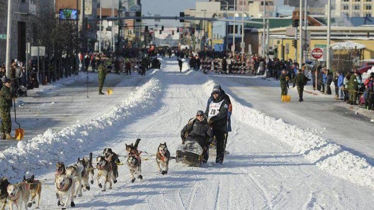 Most famous sled dog race underway in Alaska | Republic World