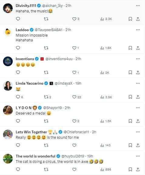 Cat's amazing stunt video goes viral, fans call for 'Mission Impaw ...