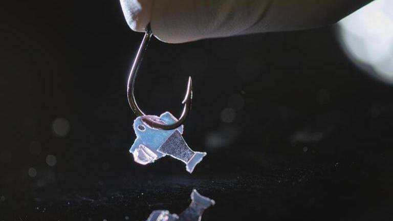 Harvard University scientists build autonomous 'robot fish' using human ... Harvard University scientists build autonomous 'robot fish' using human ...