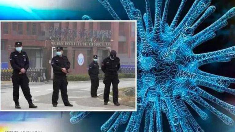 Search for COVID-19 origin 'stalled,' window of opportunity closing ...