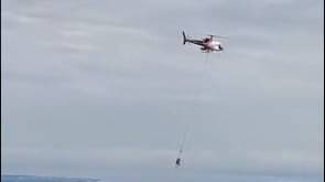 Look Up At The Sky: Viral Video Shows An Injured Cow Being Airlifted By ...