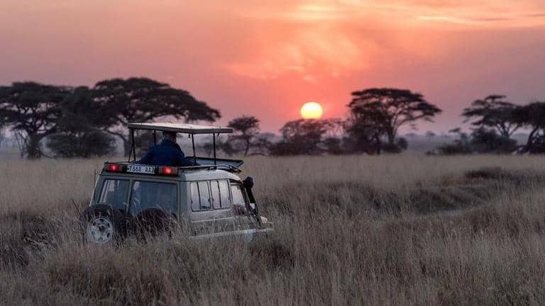‘Gaj Utsav' to be held in Assam, Safaris in Kaziranga to remain closed ...
