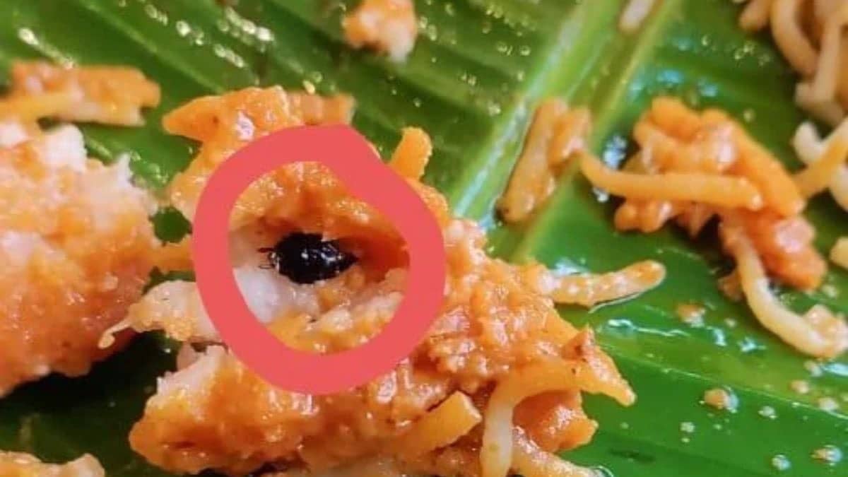 Dead Cockroach Found in Biryani at Hyderabad Restaurant, GHMC Conducts ...