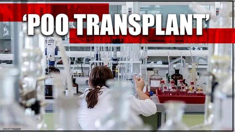 Australia's first stool bank to pay $25 to poo donors for faecal ...