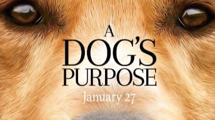 Marley and Me , Hachiko, A Dog's Life: Movies To Watch For Dog Lovers ...