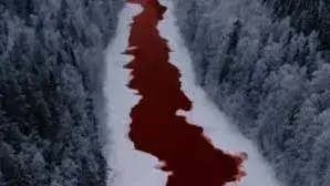 WATCH | Mystery pollutant turns Russia’s Iskitimka river beetroot-red ...