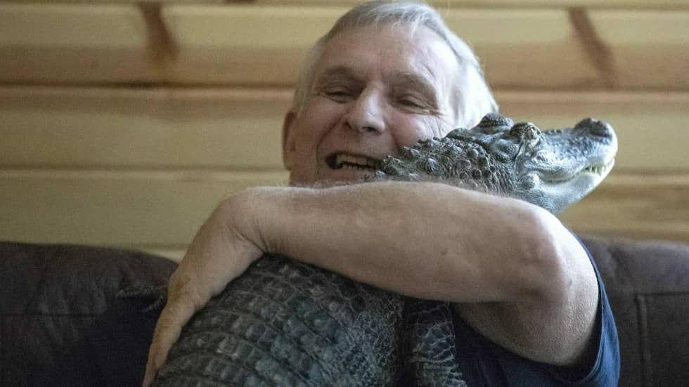 Man Devastated As 'Emotional Support' Alligator Goes Missing: Pleads ...