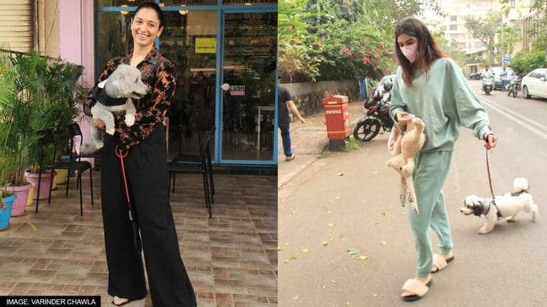 Tamannaah Bhatia & Khushi Kapoor take their pet dogs out for a Sunday ...