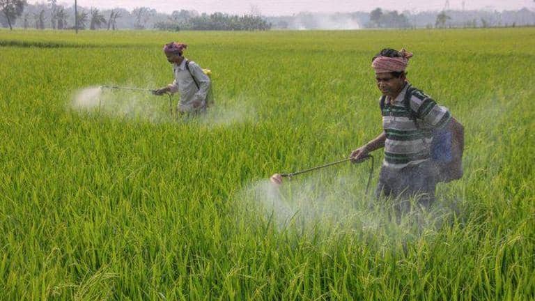 UP to start paddy purchase from October 1 | Republic World