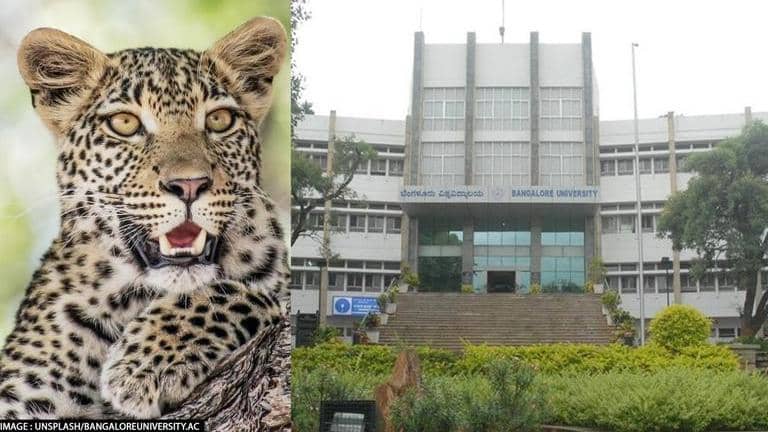 Leopard scare: Bangalore University cautions students & faculty ...