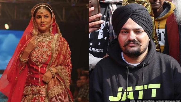 Shehnaaz Gill marks ramp debut on Sidhu Moosewala's song; Fans say 'You ...