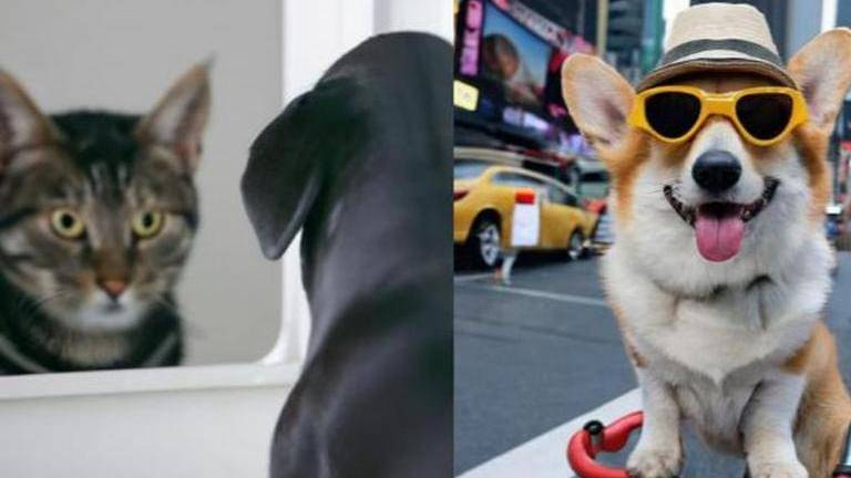 Google develops AI text-to-image generator offering 'unprecedented ...