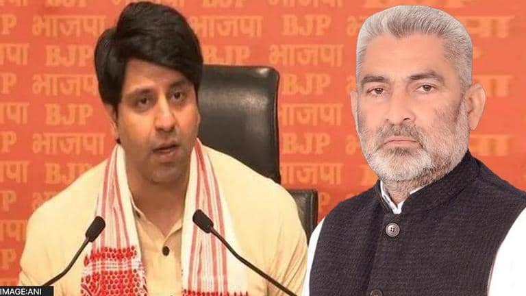 'AAP stories' after Kerala Story: BJP grills Bhagwant Mann's neta for ...