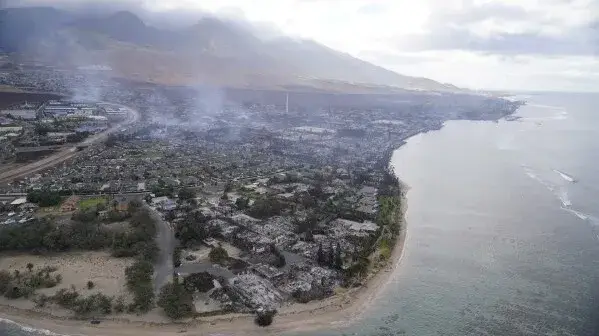 Wildfire in Hawaii destroys rainforest on Oahu | Republic World
