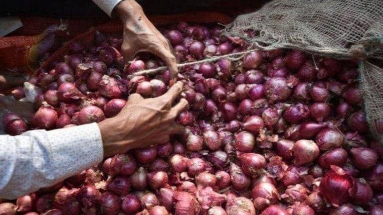3 lakh tonnes of onion procured by govt as buffer stock; piloting irradiation of onion with BARC ...