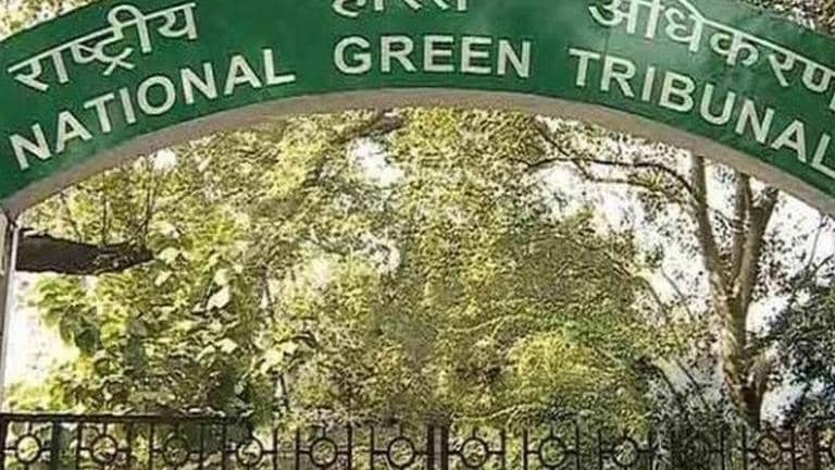 NGT forms panel to verify and take action against 19 dyeing units ...