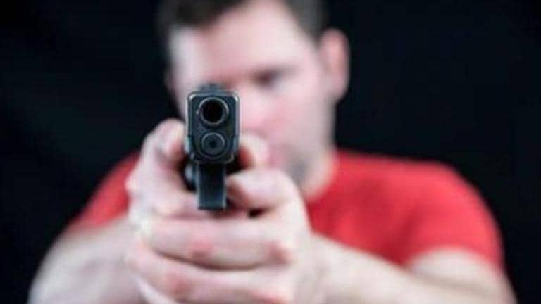 Bihar govt ensure crop safety, hires 13 professional shooters to kill ...