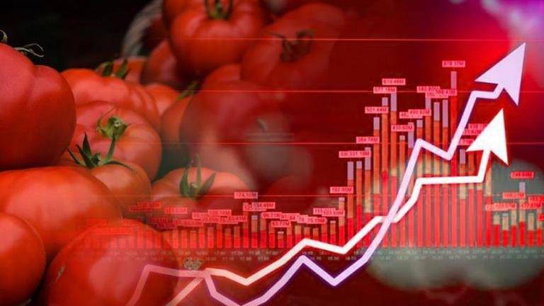 Tomato prices surge to Rs 140 per kg in Delhi-NCR; tomato traders mull cool off | Republic World