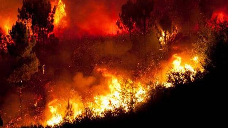 France's first major forest fire of 2023: Firefighters battle to ...