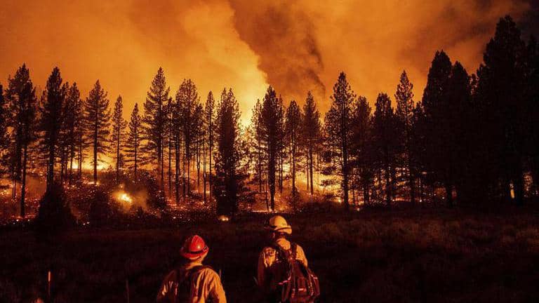 Crews fight to gain control on Northern Calif. blaze | Republic World