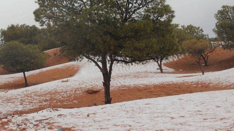 Algeria: Snowfall creates stunning patterns across dunes of Sahara ...