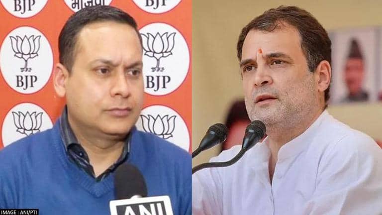 'BJP 3rd largest party ahead of Congress in TN': Amit Malviya hits back ...