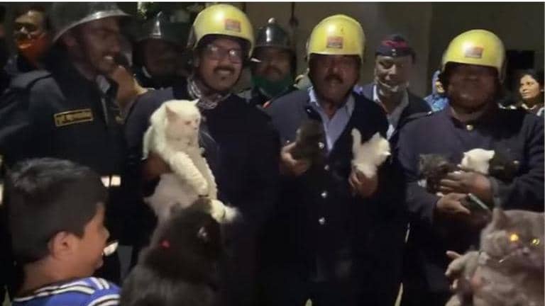 Pune Fire Department rescues 10 Persian cats from a burning 3-storey ...