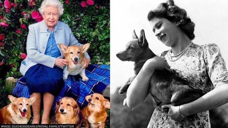 Queen's love story with corgis is older than her 70-yr reign; know how ...