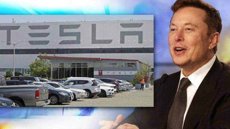 Tesla owner thanks Elon Musk for keeping his family safe after deadly ...