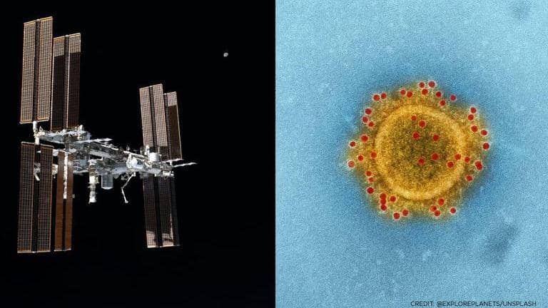 NASA researchers reveal ISS has robust population of bacteria and fungi ...