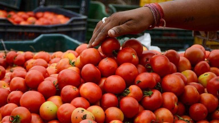 Nepal ready to supply tomatoes to India; seeks easier access to market ...