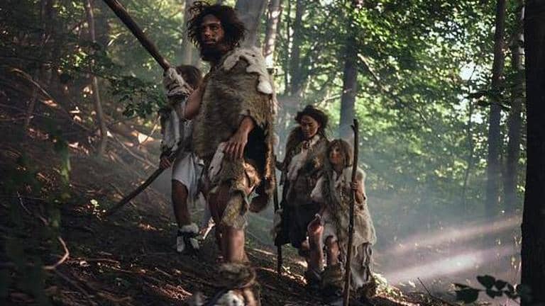 Neanderthals were first to turn forest into grassland for habitat ...