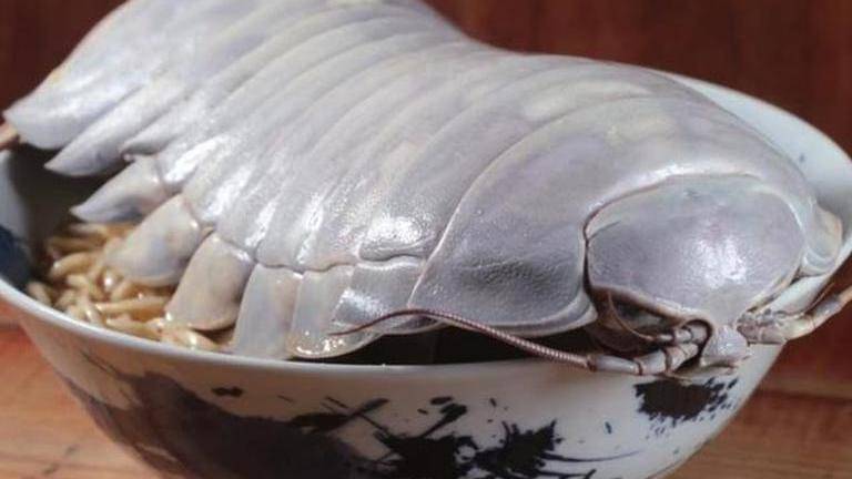 Taiwanese restaurant unveils unique ramen dish featuring steamed giant Isopod | Republic World