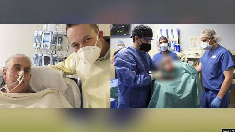 US: David Bennett, first person to receive pig heart transplant dies ...