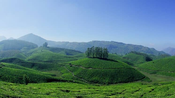 Kerala News: Kerala News Today, Kerala Latest News, Kerala Breaking ...