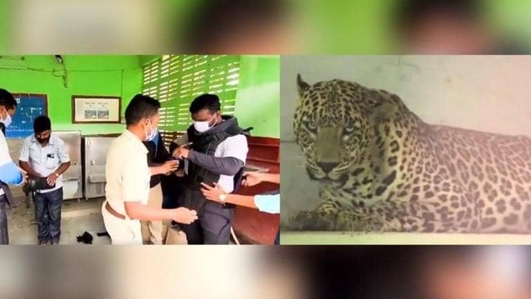 Leopard spotted in Maharashtra school; netizens applaud team's daring ...