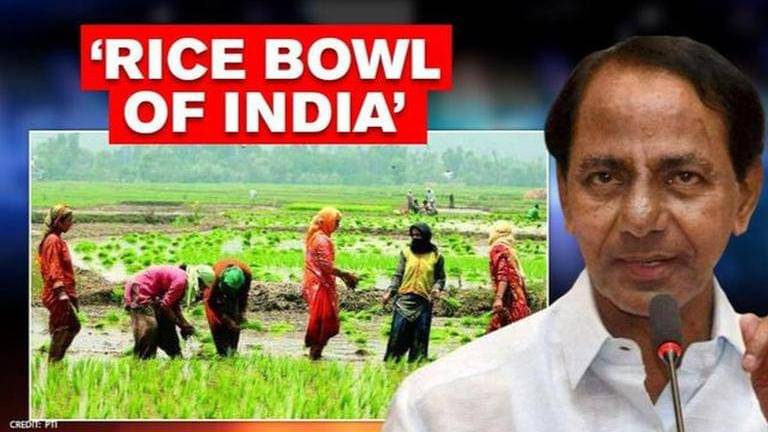 'Telangana becoming rice bowl of India due to cultivation of record ...