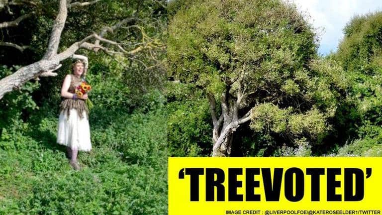 Mother of two who married 'tree' in Merseyside celebrates first wedding ...