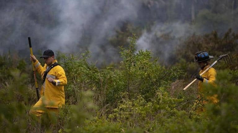 Spain firefighters battle series of forest fires- Republic World