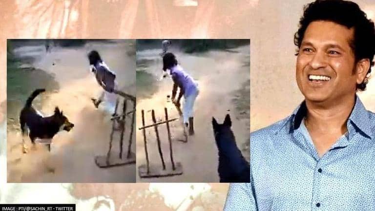 Sachin Tendulkar in awe over Dog's 'sharp' ball catching skills; has a ...
