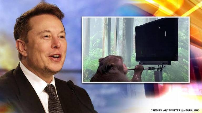 Monkey MindPong: Elon Musk's Neuralink reveals 'Pager' playing video ...